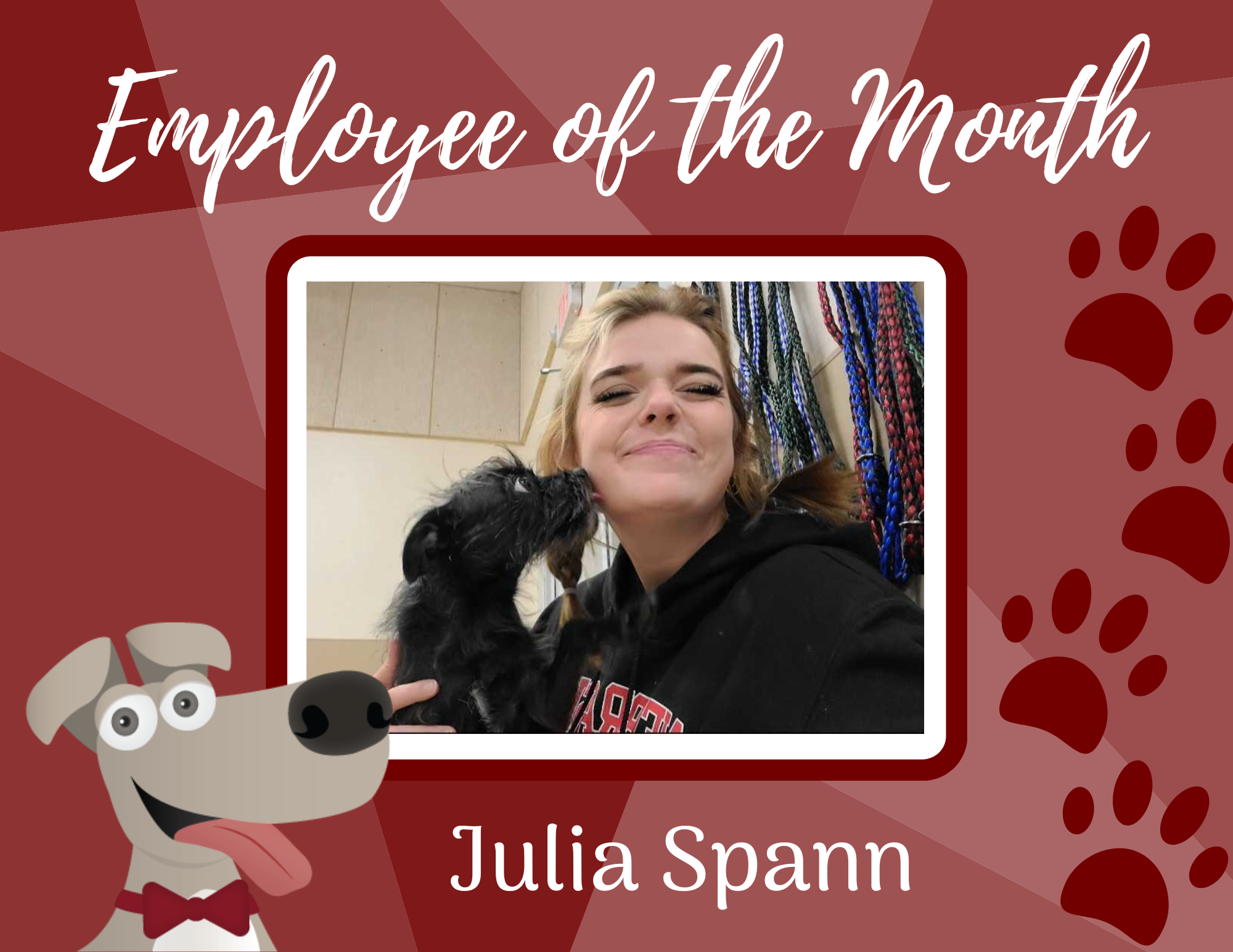 Overnight Boarding – WOOF Dog Care Center